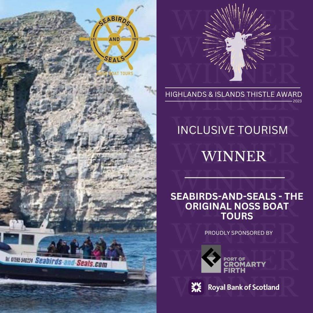 Seabirds-and-Seals | The Original Noss Boat Tour