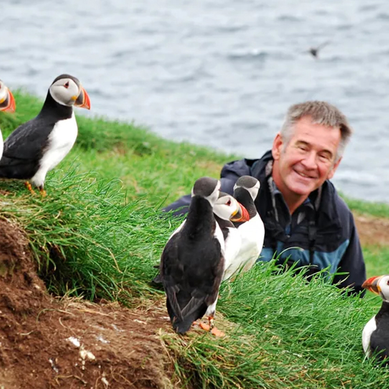 Seabirds-and-Seals | The Original Noss Boat Tour